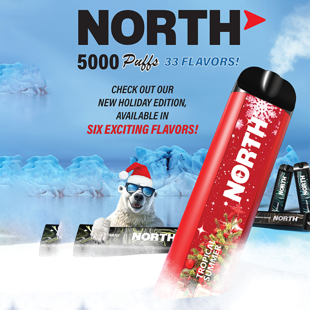 North 5000 Puffs Rechargeable Disposable Vape | Speed Wh ...